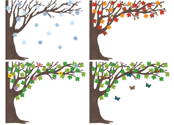 Tree for All Seasons Bulletin Board Set – CM School Supply