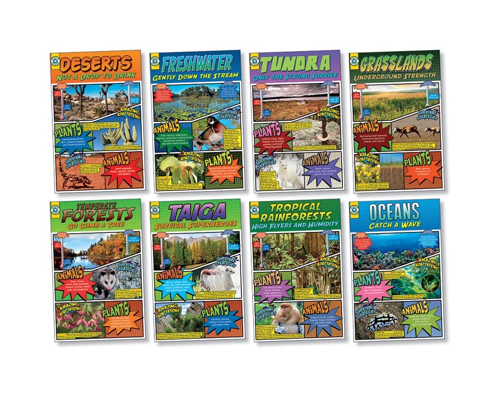 BIOMES BULLETIN BOARD SET – CM School Supply