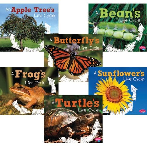 Explore Life Cycles, Set of 6 books – CM School Supply