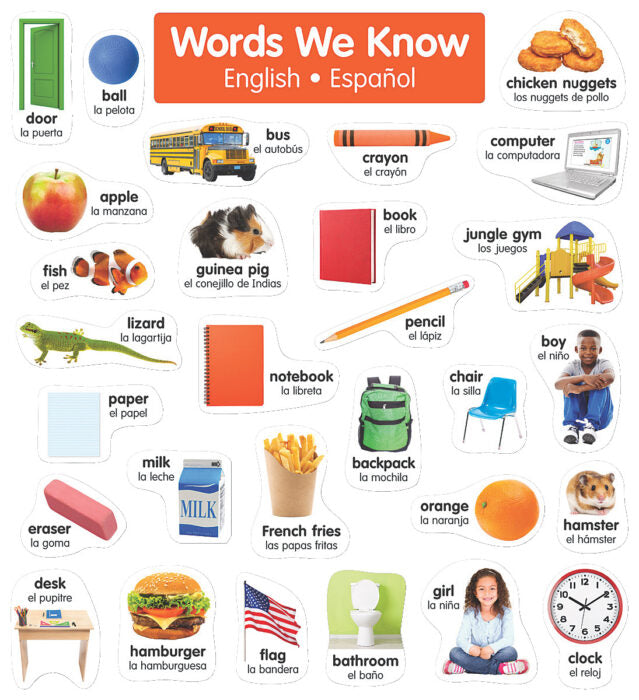 English-Spanish Photo Word Wall Bulletin Board – CM School Supply