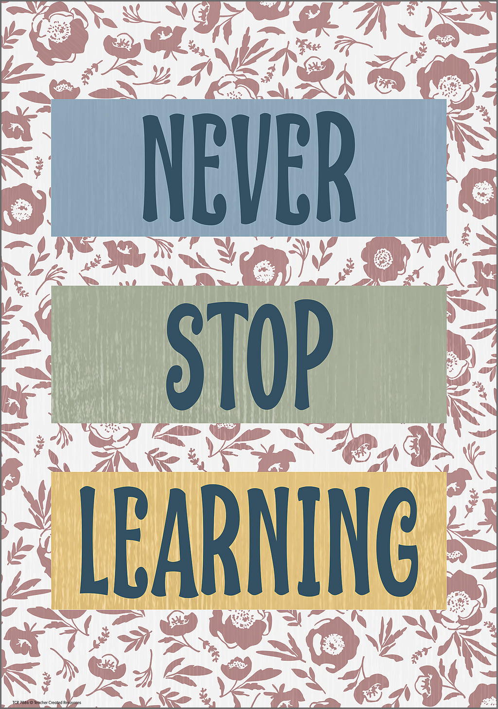 Never Stop Learning Positive Poster – CM School Supply
