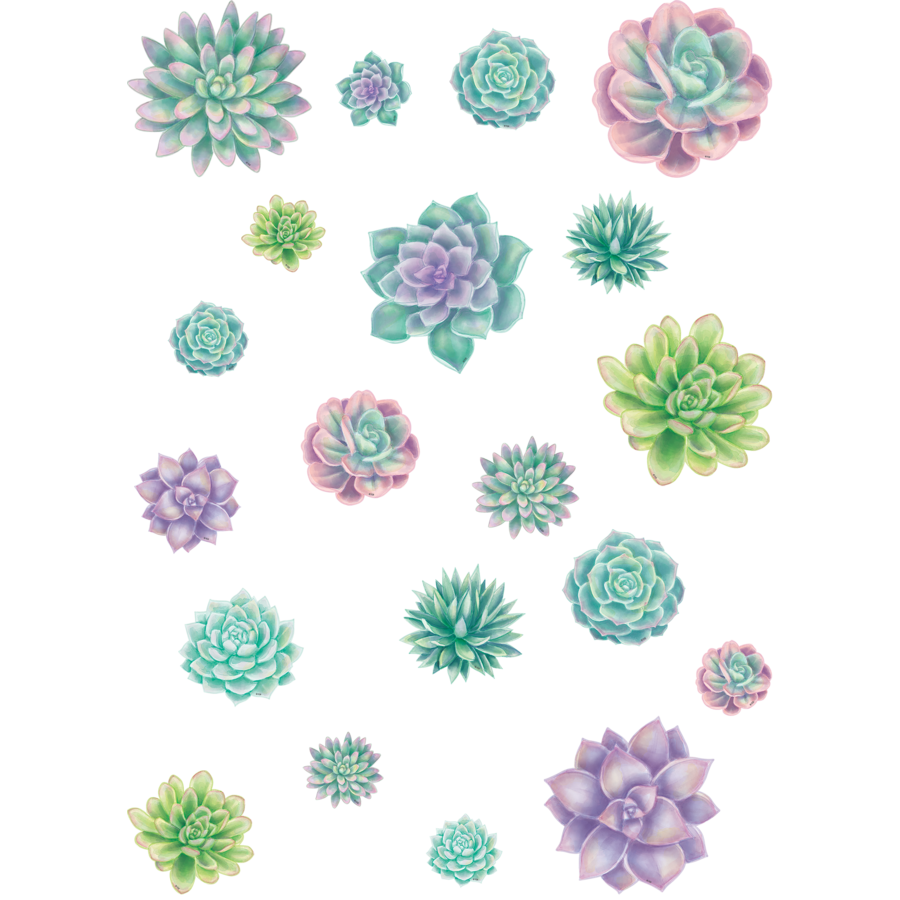 Rustic Bloom Succulent Accents - Assorted Sizes(C) – CM School Supply
