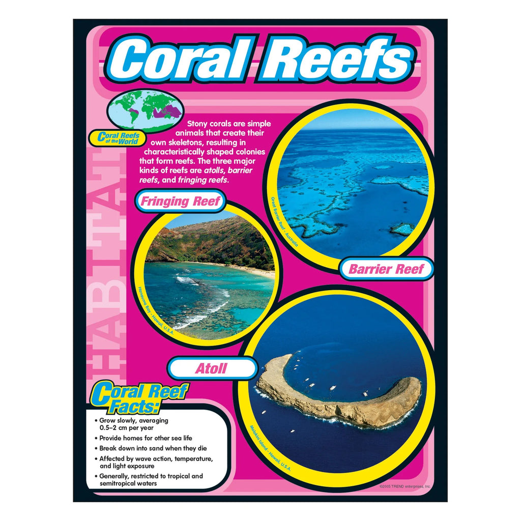 Coral Reefs Learning Chart – CM School Supply