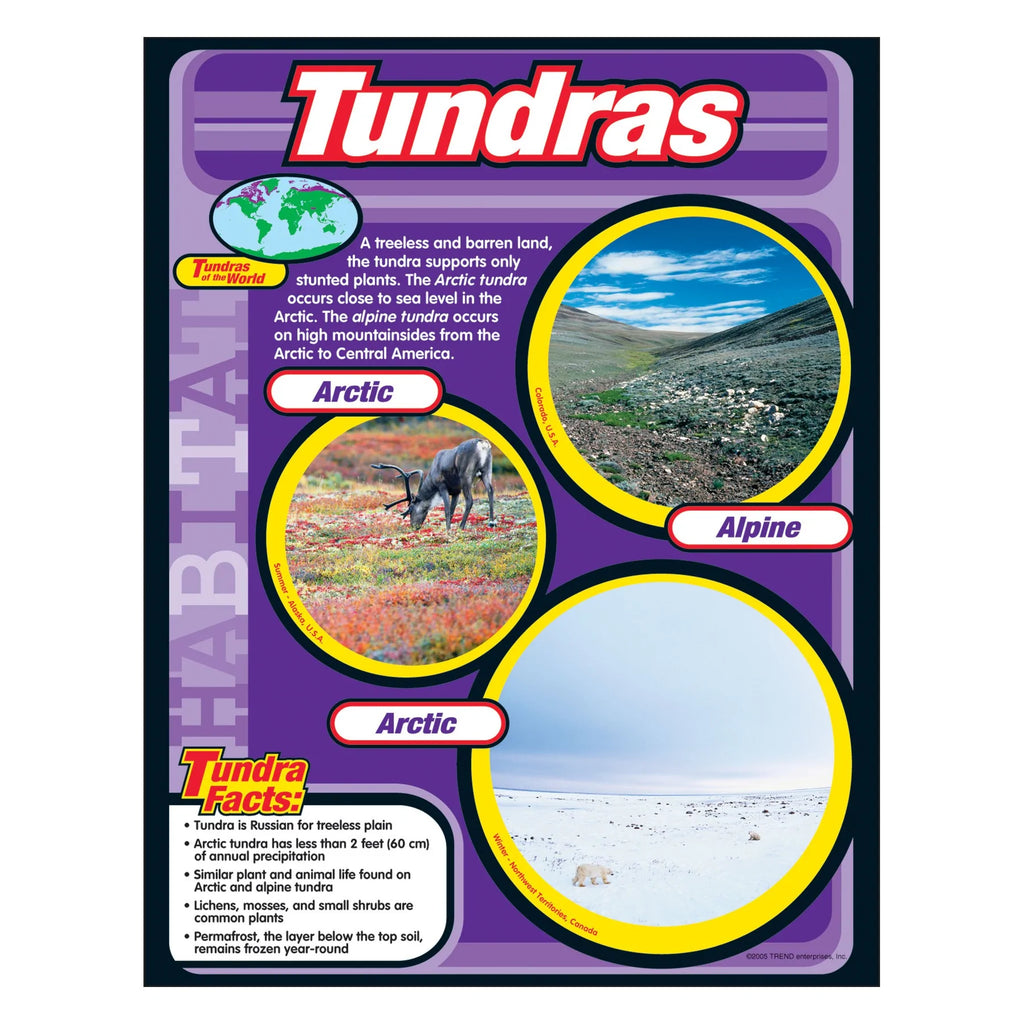 Tundras Learning Chart – CM School Supply