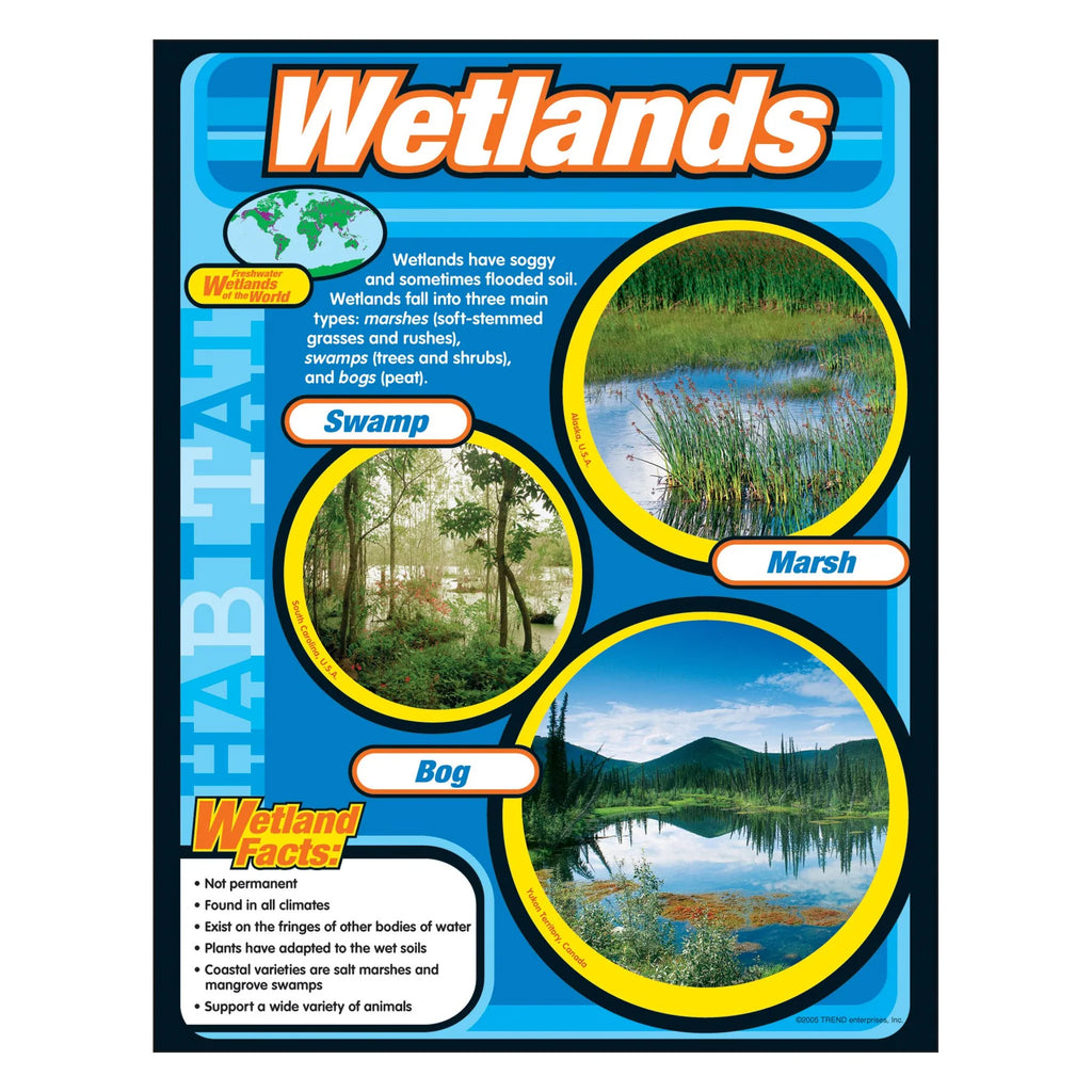 Wetlands Learning Chart – CM School Supply