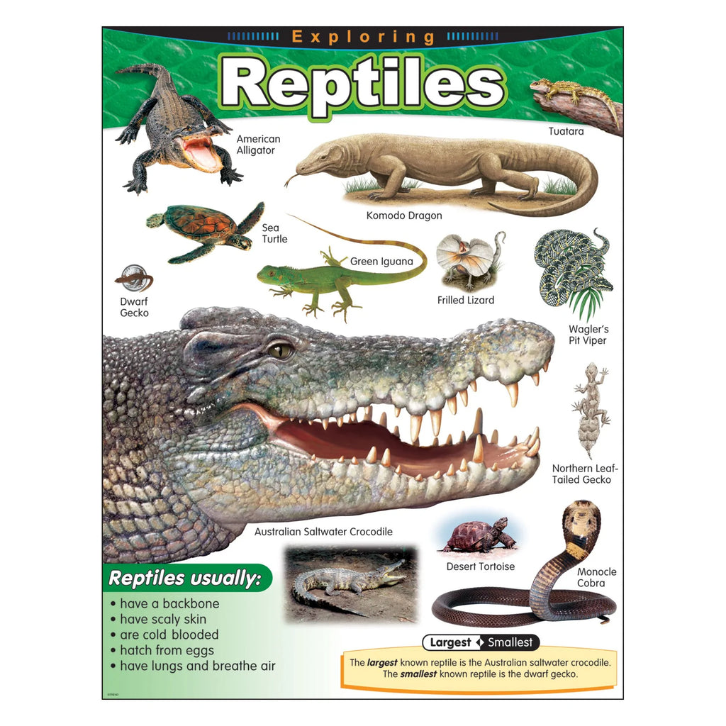 reptiles chart