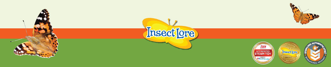 Insect Lore – CM School Supply