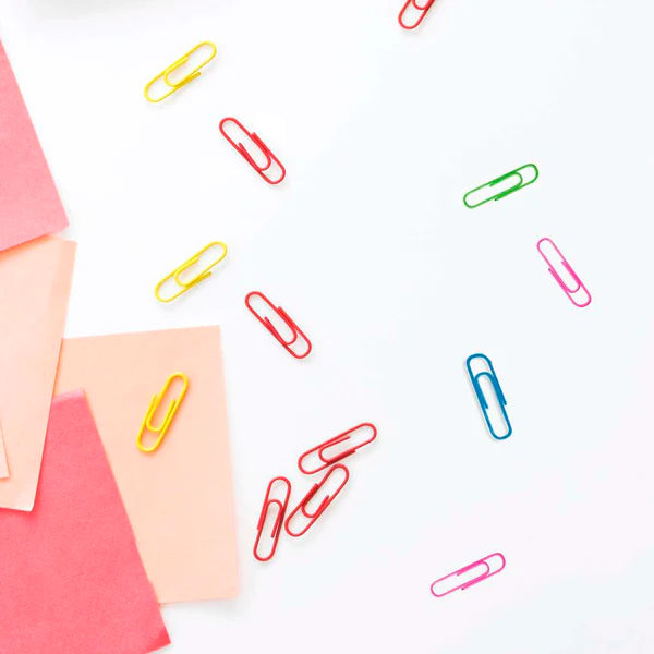 Regular Paper Clips - 973-638 — CM School Supply