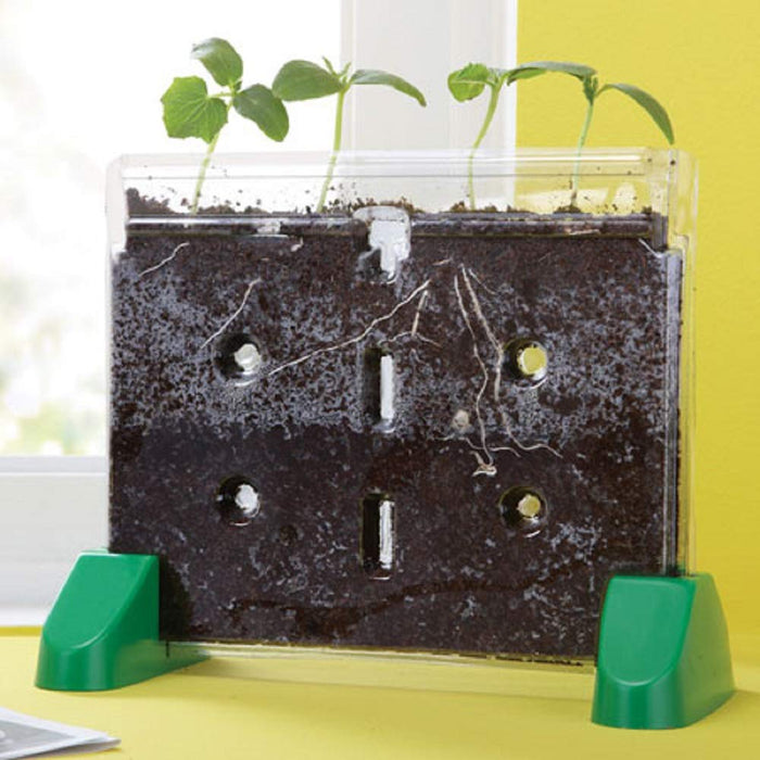 Sprout & Grow Window — CM School Supply