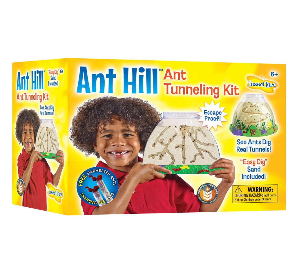 Ant Hill™ with Voucher for Live Ants – CM School Supply