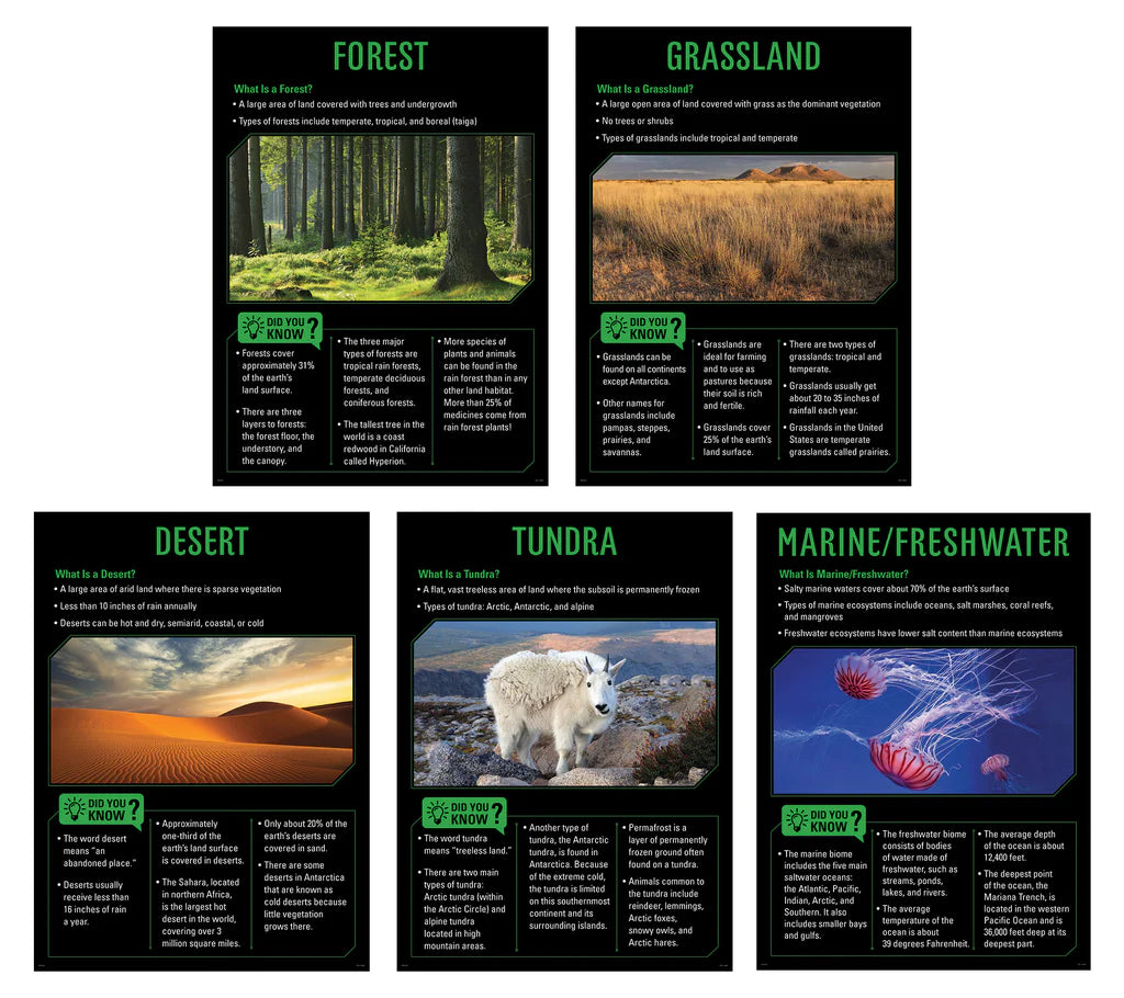 Ecosystems 5-Poster Set – CM School Supply