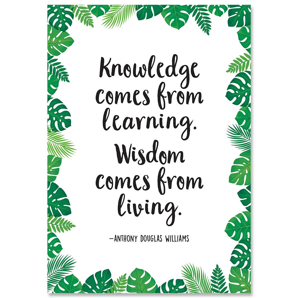 Knowledge comes from learning Poster – CM School Supply