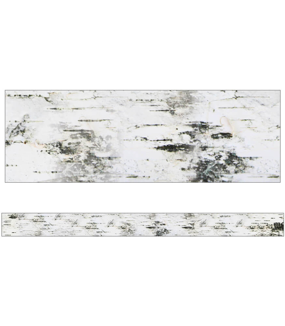 Birch Tree Straight Bulletin Board Borders — CM School Supply