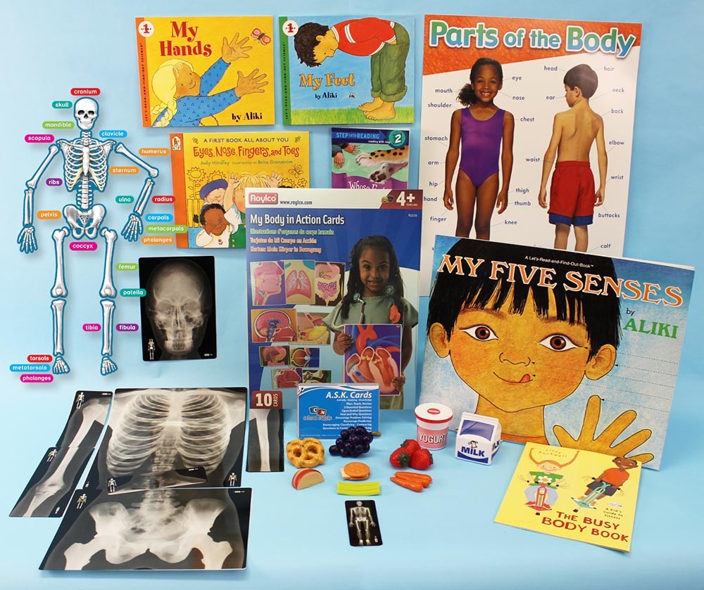 My Body, My Senses MESS Kit – CM School Supply