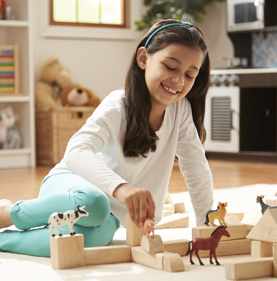 Standard Unit Blocks — CM School Supply