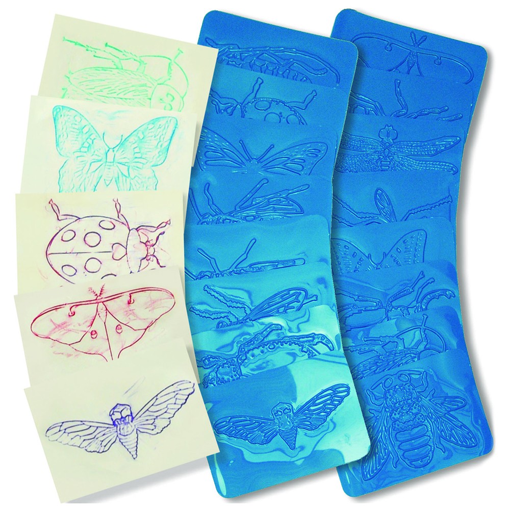 Insects Rubbing Plates - 271-803 – CM School Supply