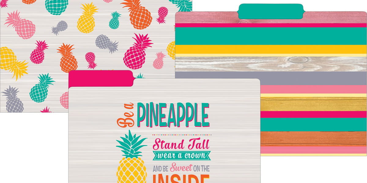 Tropical Punch File Folders - TCR8538 — CM School Supply