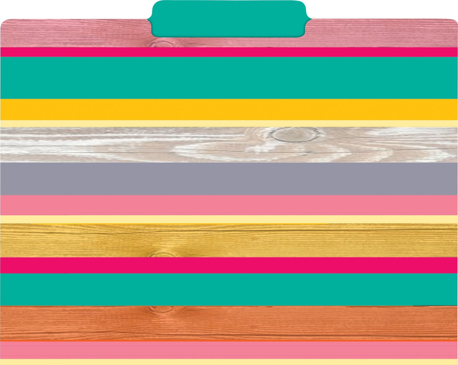 Tropical Punch File Folders - TCR8538 — CM School Supply