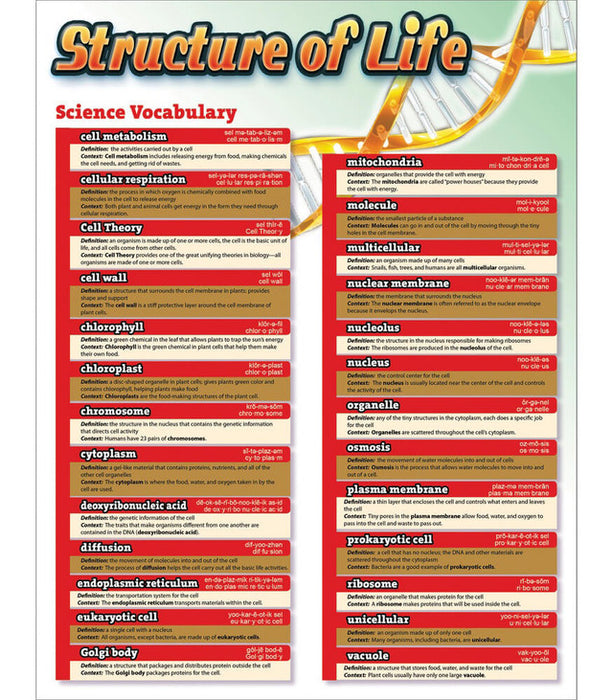 Science Vocabulary: Structure of Life Chart Grade 5-12 — CM School Supply