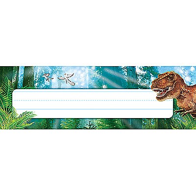 Discovering Dinosaurs Name Plates Pack | CM School Supply