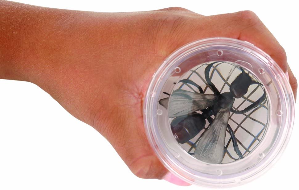 Magnifying Bug Viewer — CM School Supply