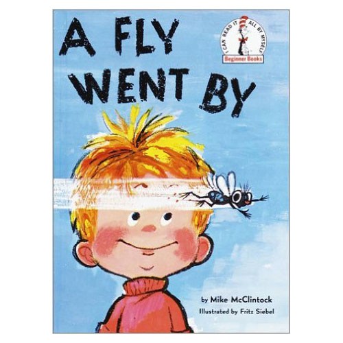 A Fly Went By – CM School Supply