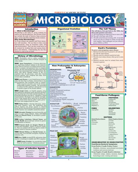 QuickStudy: Microbiology – CM School Supply