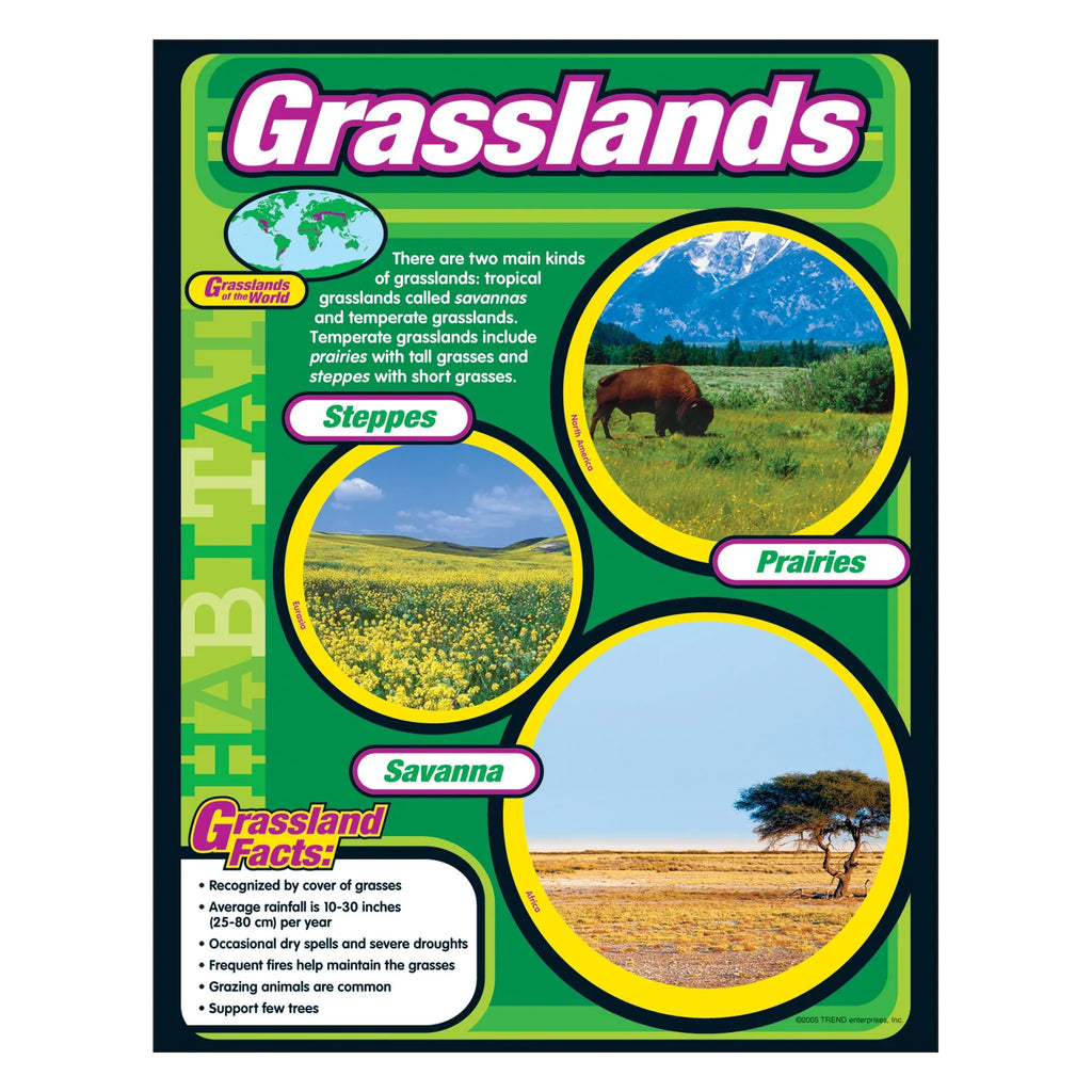 Grasslands Learning Chart/Poster | CM School Supply