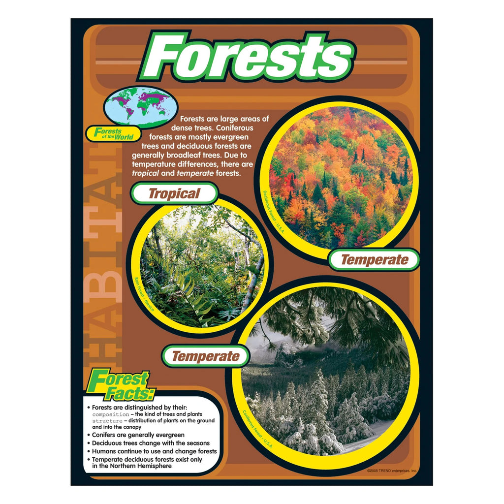 Forests Learning Chart – CM School Supply