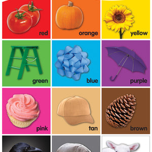 Colorful Early Learning Small Poster Pack — CM School Supply