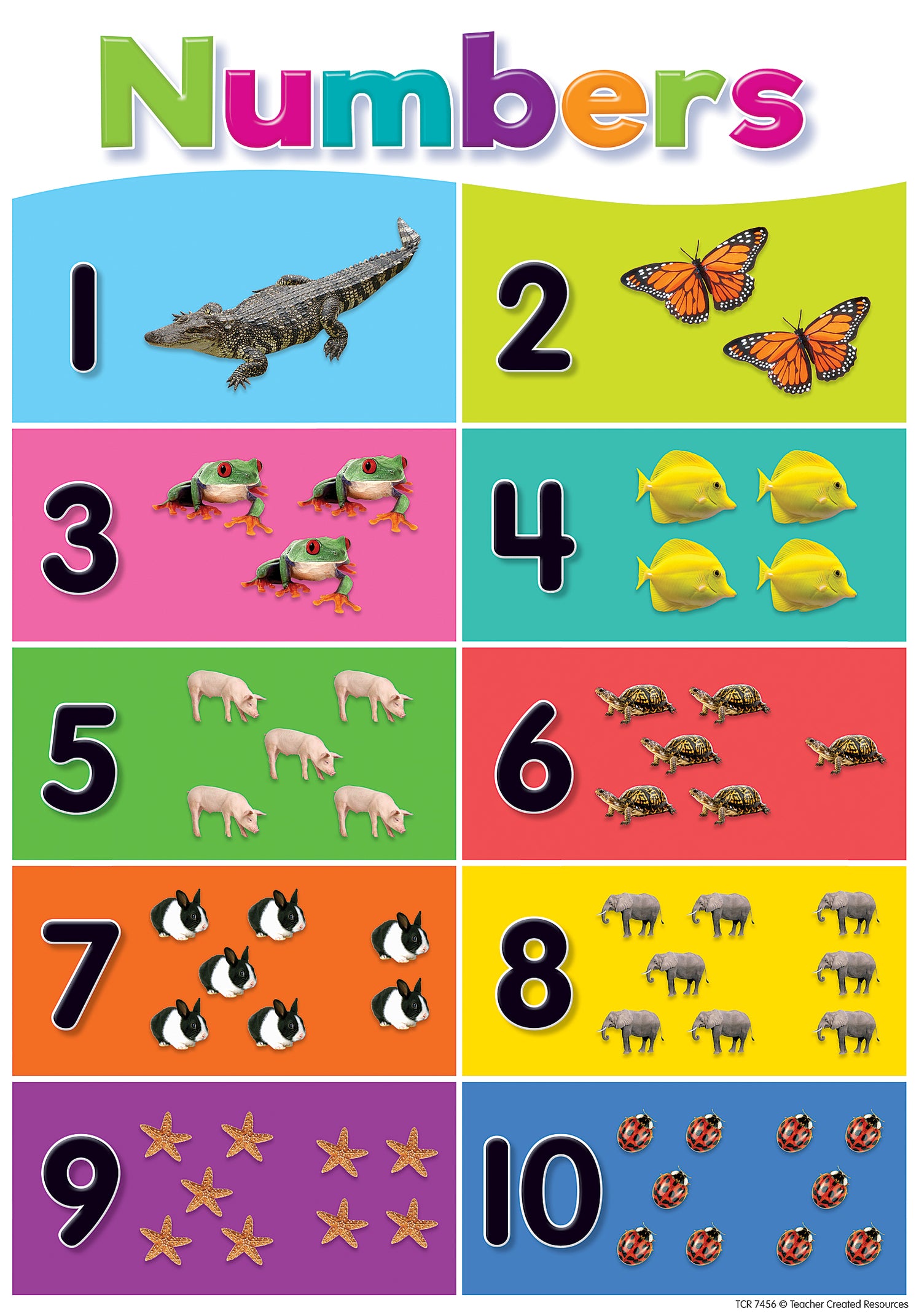 Colorful Early Learning Small Poster Pack — CM School Supply