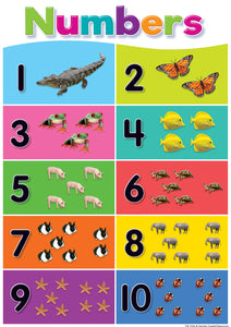 Colorful Early Learning Small Poster Pack — CM School Supply