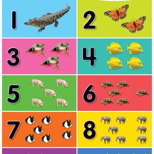 Colorful Early Learning Small Poster Pack — CM School Supply