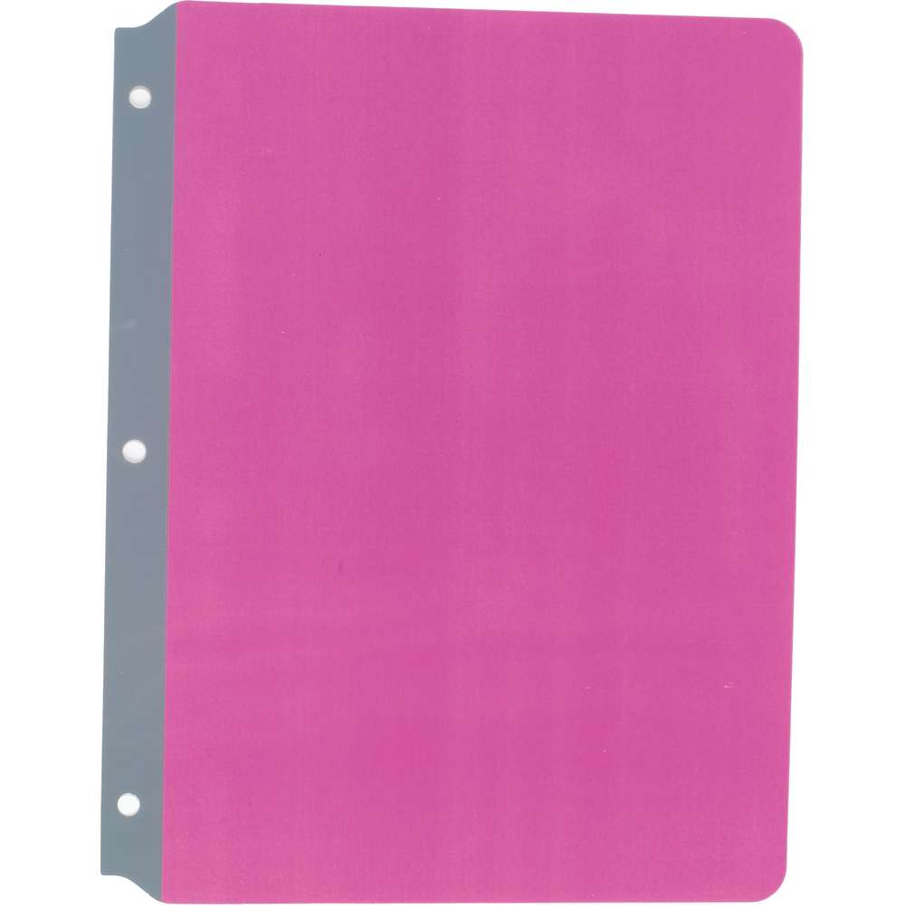 Full Page Reading Guides, Pink – CM School Supply